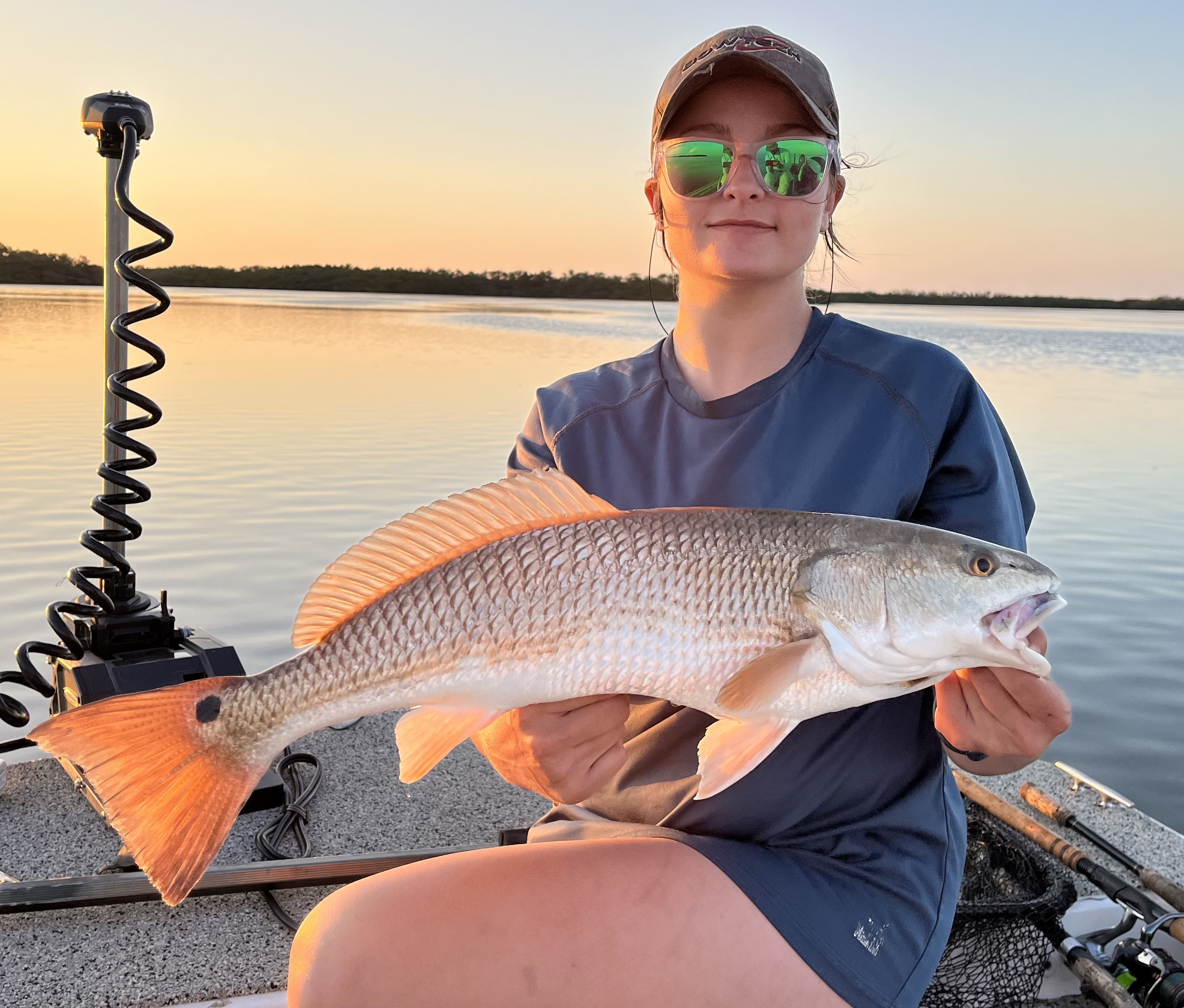 Ultimate Tampa Bay Area Fishing Guide: Best Spots, Species & Charter ...